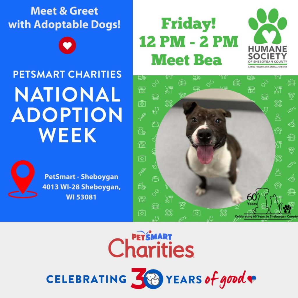 Meet Bea - National PetSmart Charities Adoption Week - Humane Society ...