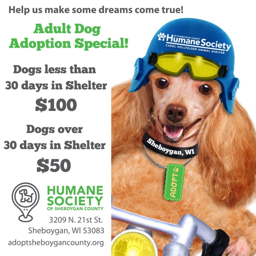 Adult Dog Adoption Special - Humane Society of Sheboygan County